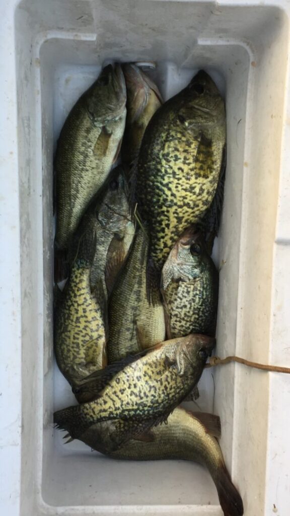 September 21, 2020 Update - Fishing