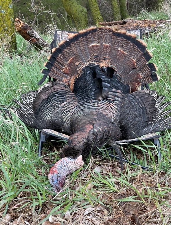 June 9 2021 Update Mid America Hunting Association june-9-2021-update-mid-america-hunting-association