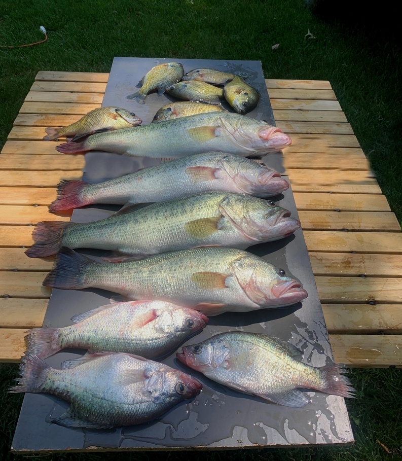 August 6, 2021 Update - Fishing