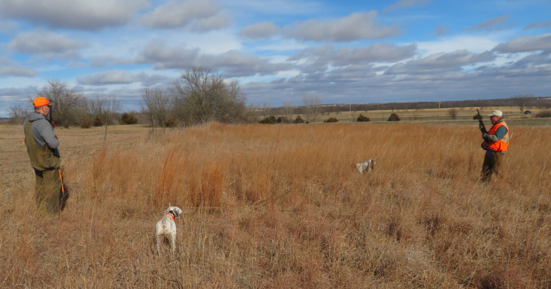 August 23, 2021 Update - Upland Birds Hunting