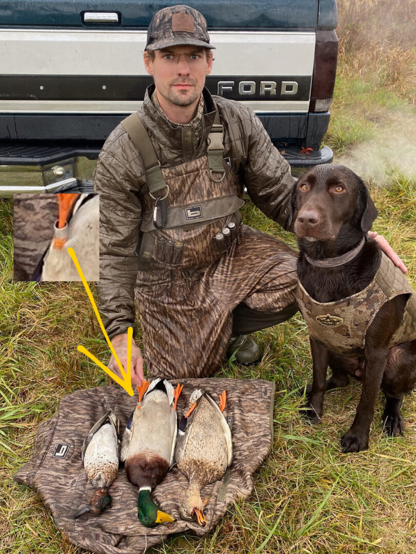 November 3, 2021 Update - Waterfowl Hunting