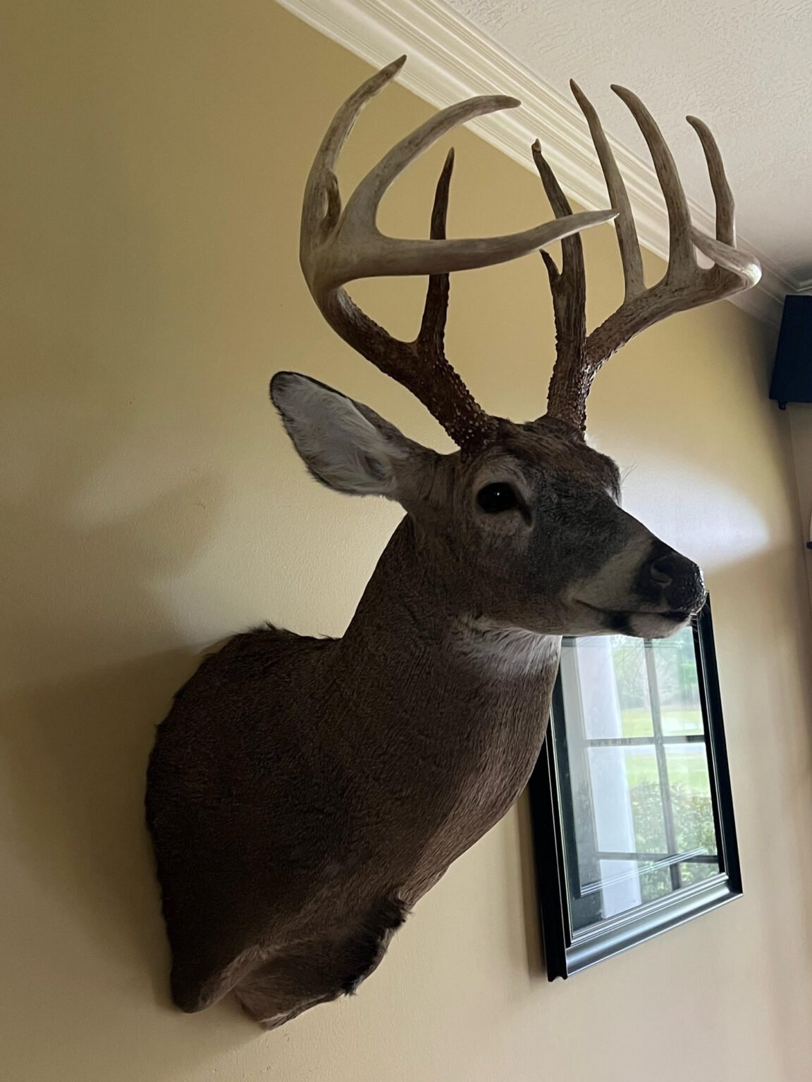 Deer Hunting Gallery - Mid-America Hunting Association