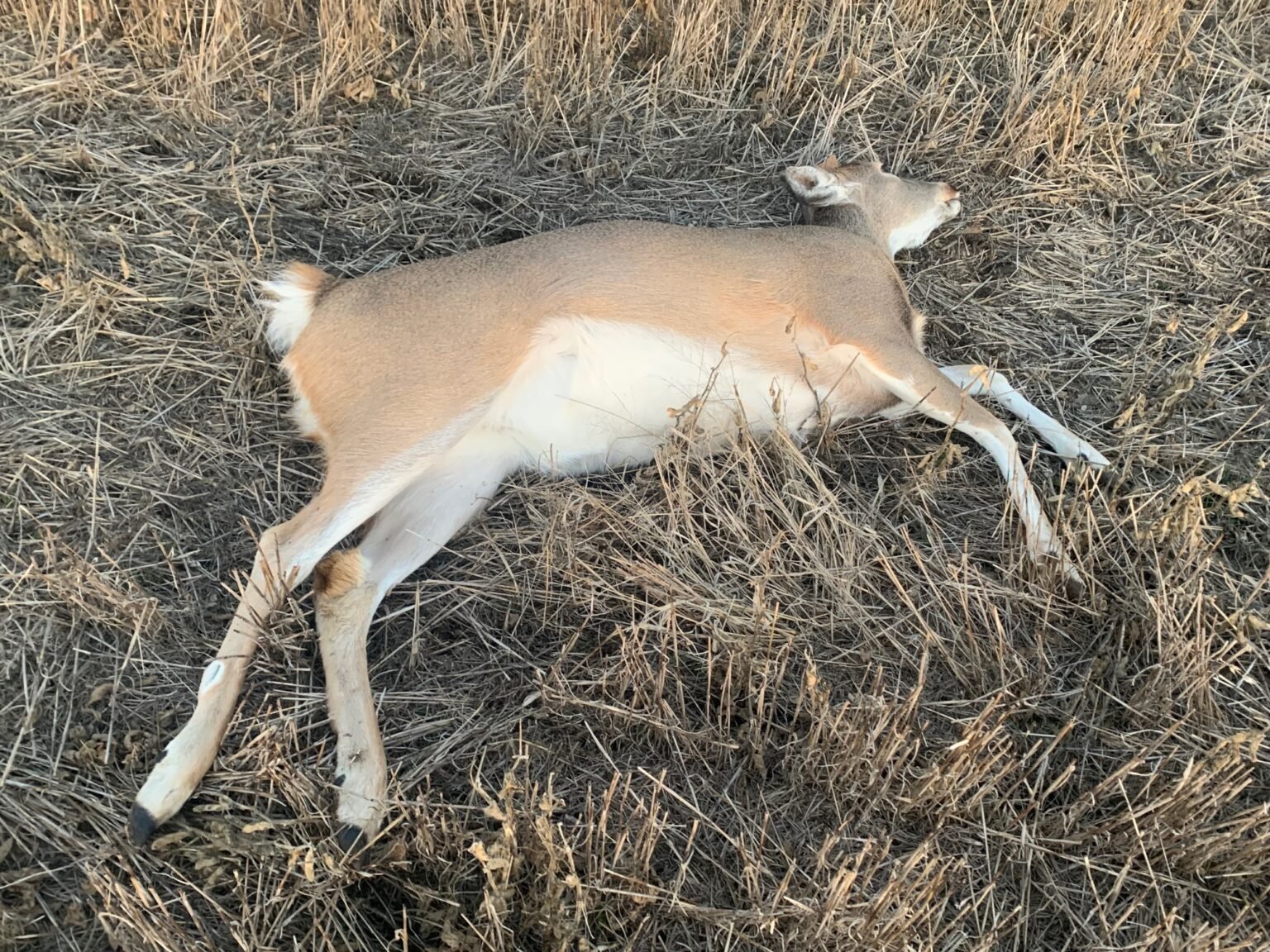 Private Leased Land Self Guided Hunting in KS, MO, and IA - Mid-America ...