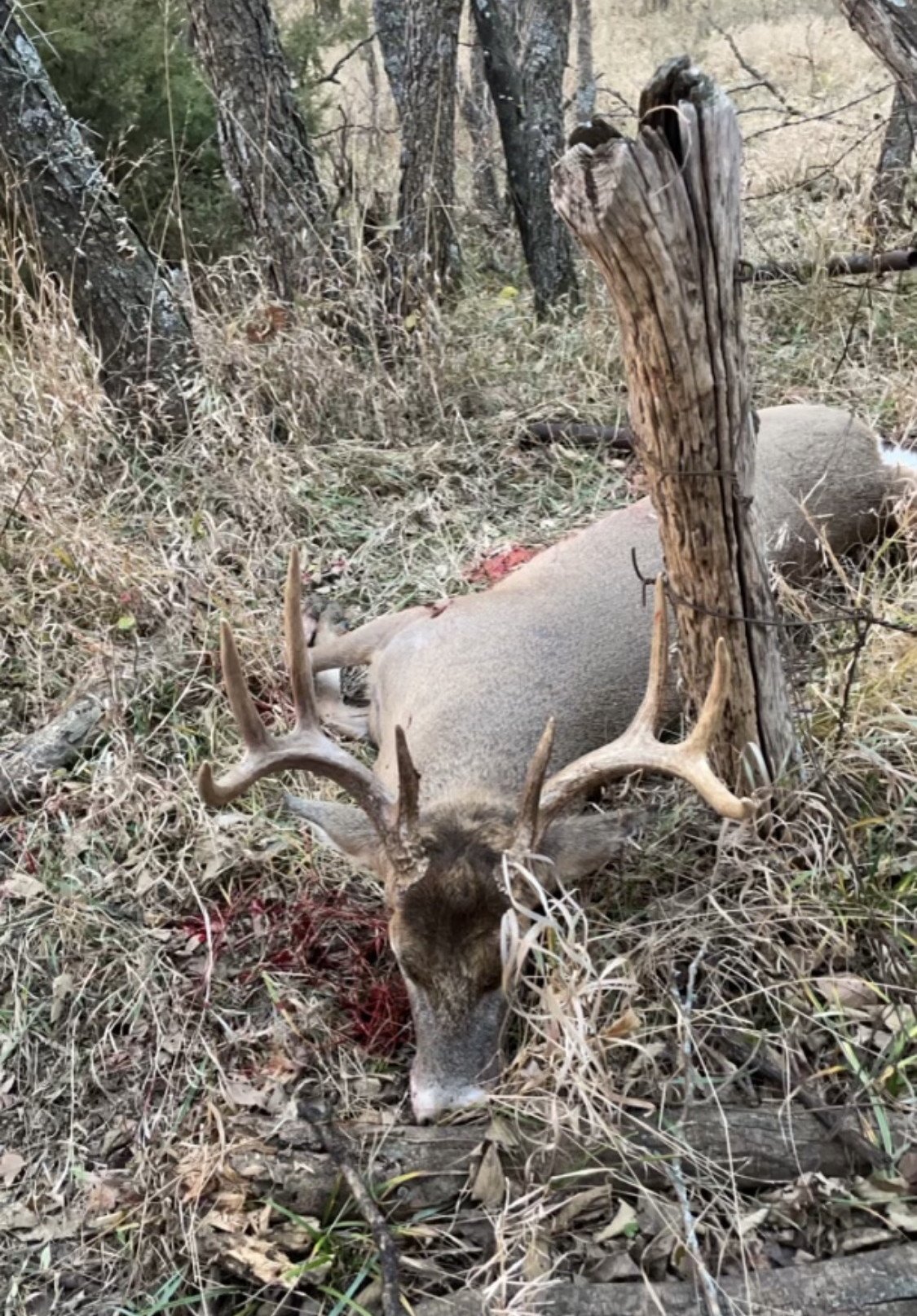 January 9, 2023 Update - Mid-America Hunting Association