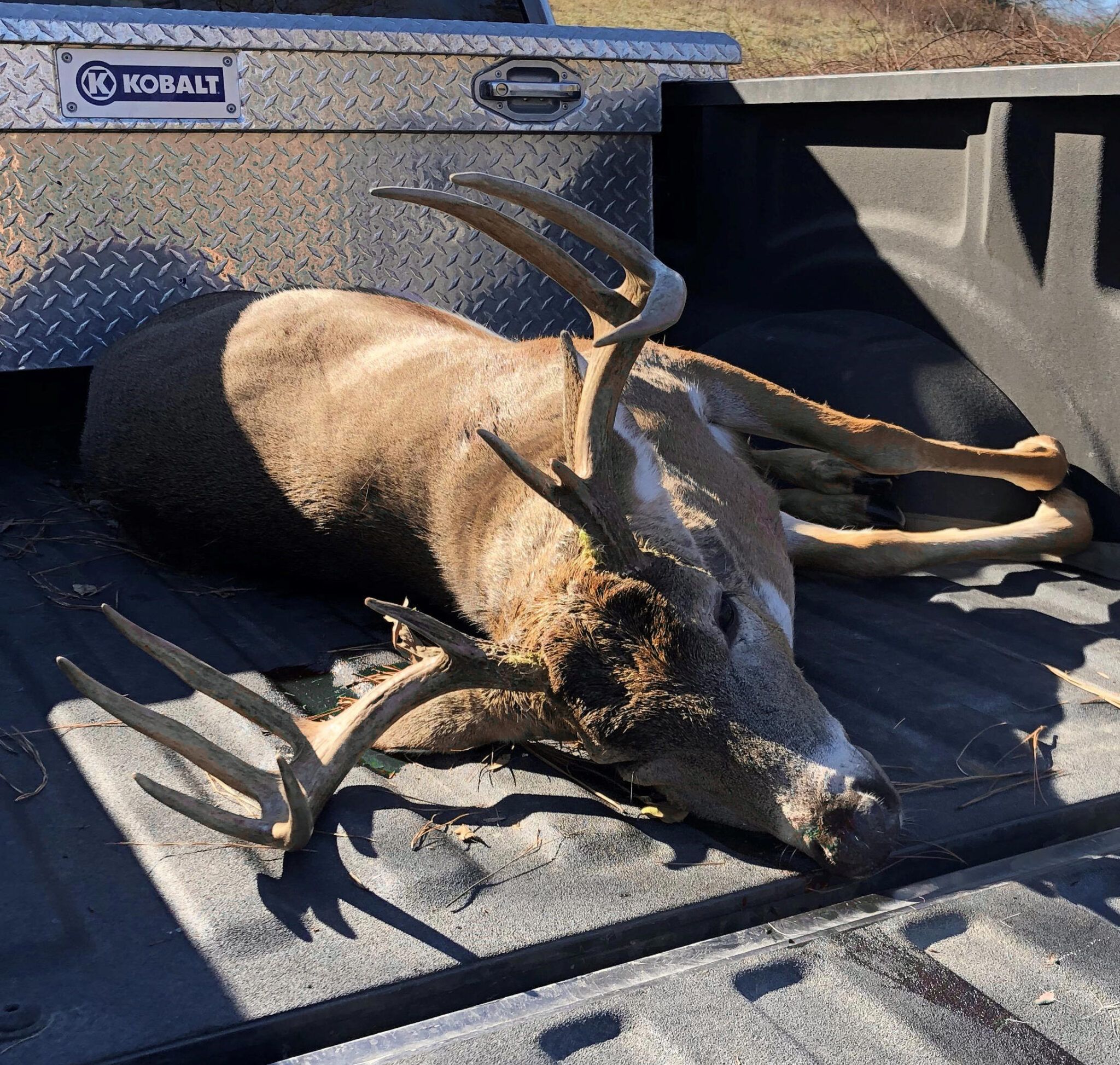 Deer Hunting Gallery - Mid-America Hunting Association