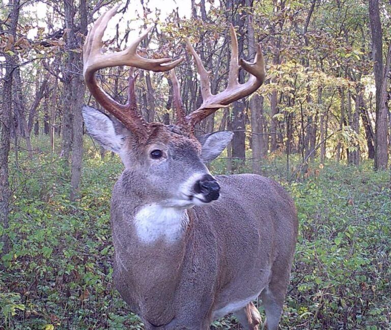 Top Private Lease Land Hunting in Kansas, Missouri, and Iowa.