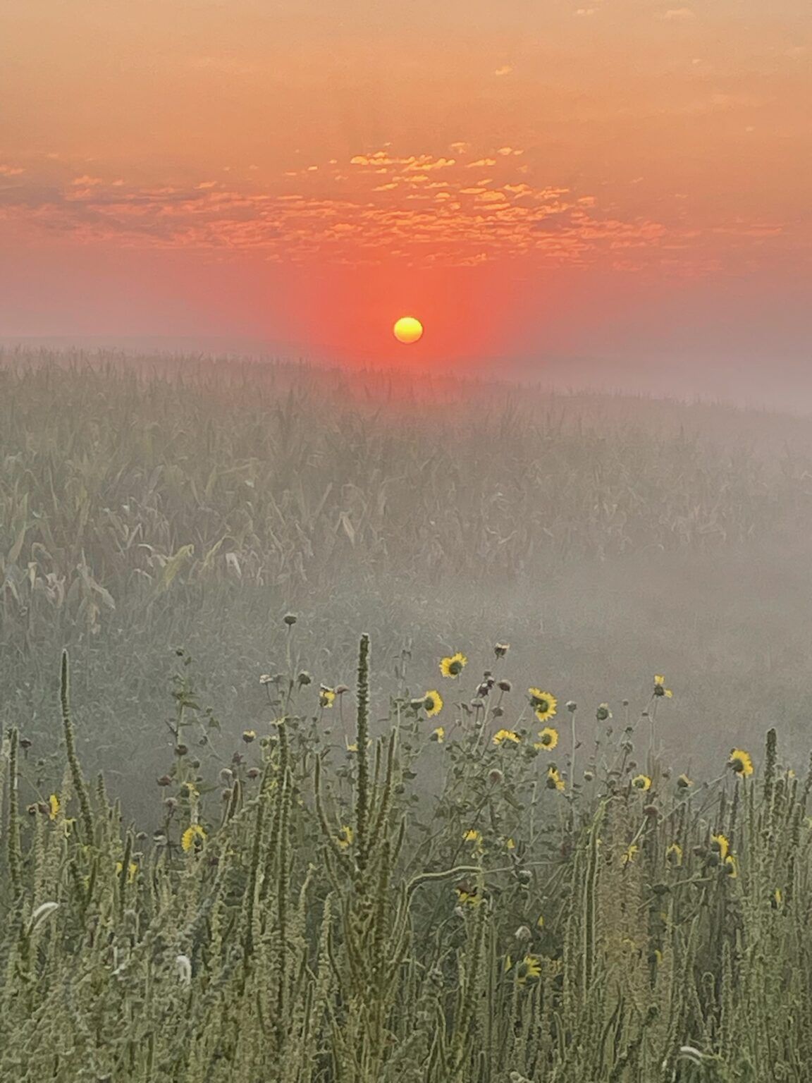 Kansas Deer Hunting - Mid-America Hunting Association