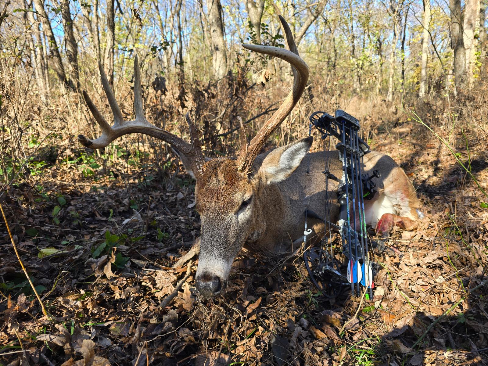 March 14, 2025 Update - Deer Hunting