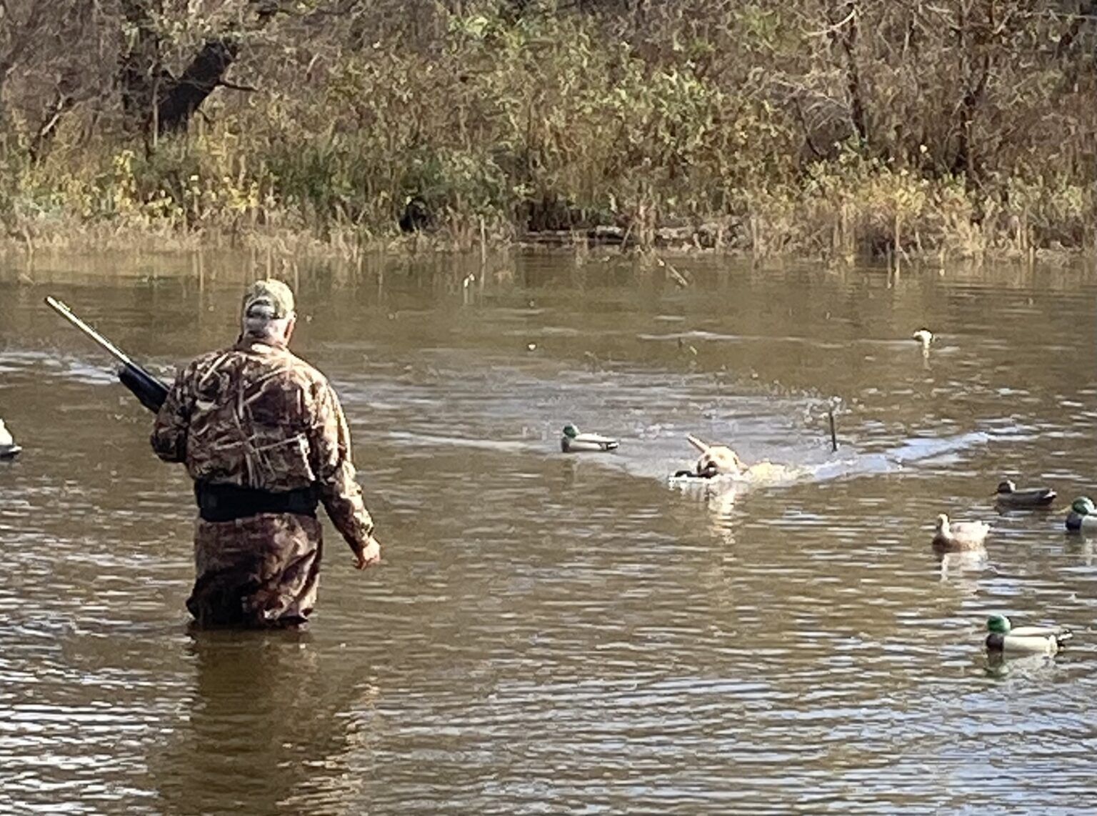 Private Leased Land Self Guided Hunting in KS, MO, and IA - Mid-America ...