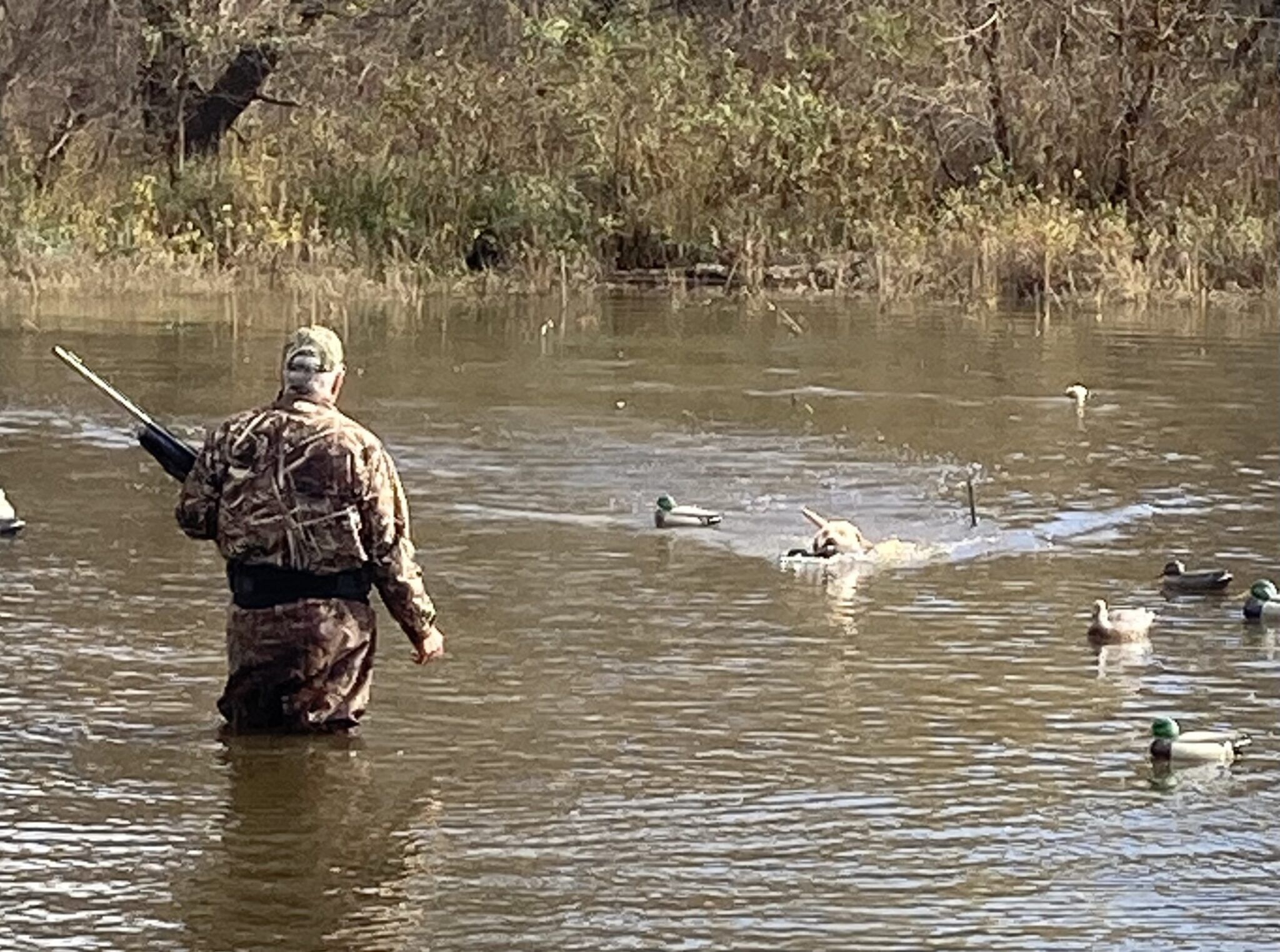 Private Leased Land Self Guided Hunting in KS, MO, and IA - Mid-America ...