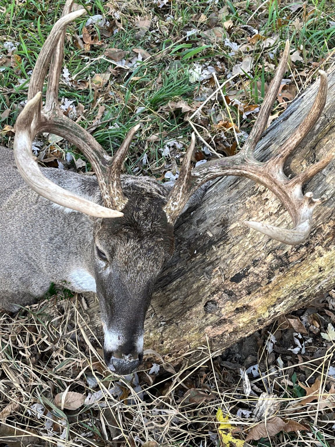 News Update - Mid-America Hunting Association