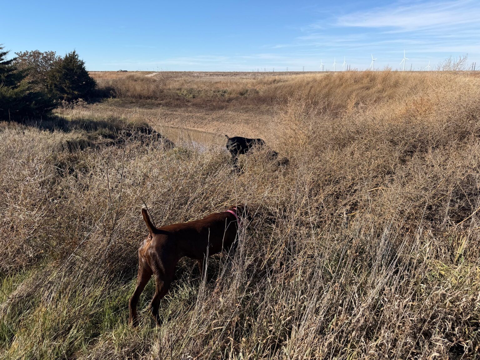 Top Private Lease Land Hunting in Kansas, Missouri, and Iowa.