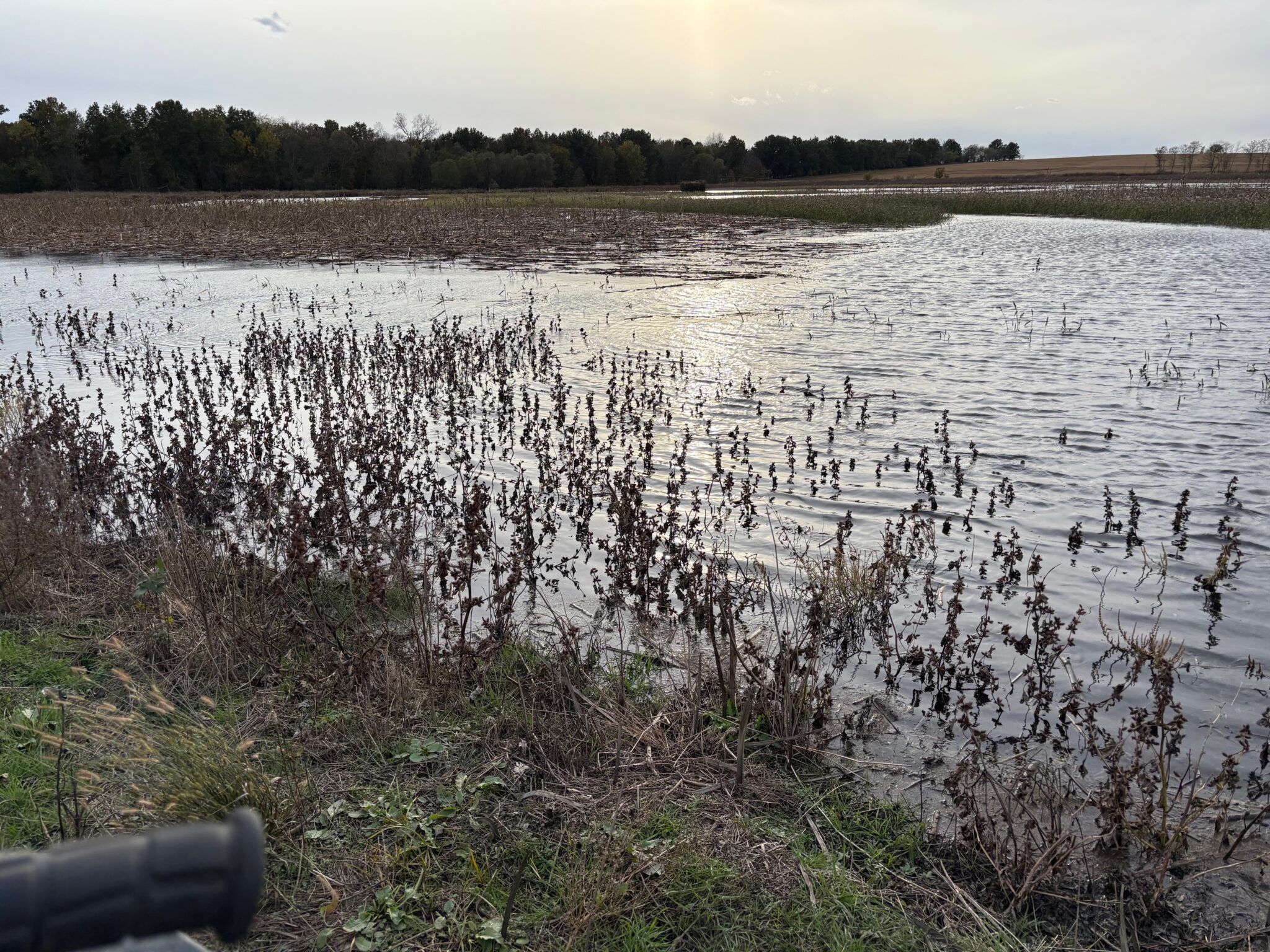 November 3, 2025 Update - Waterfowl Hunting