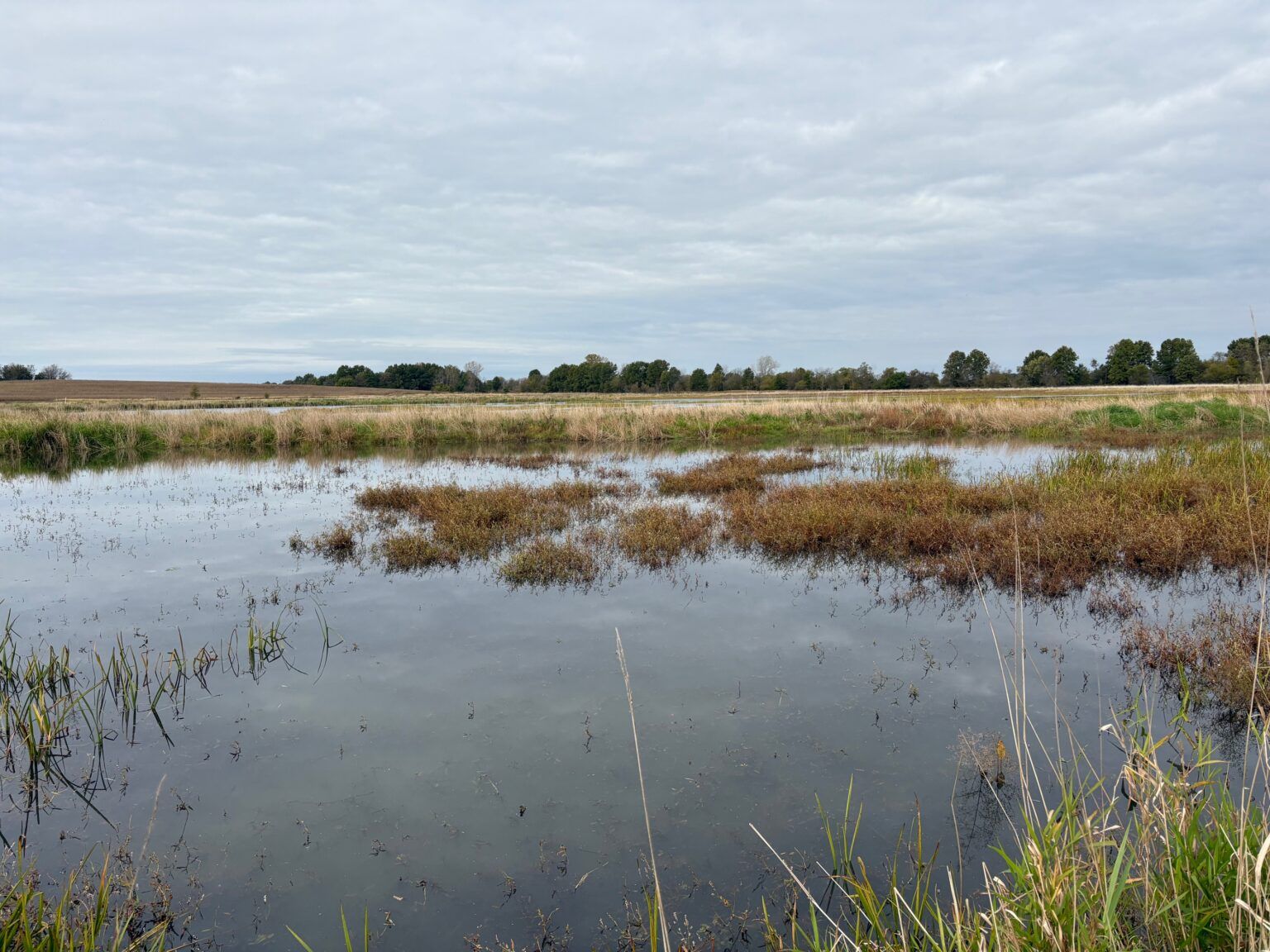 November 3, 2025 Update - Waterfowl Hunting