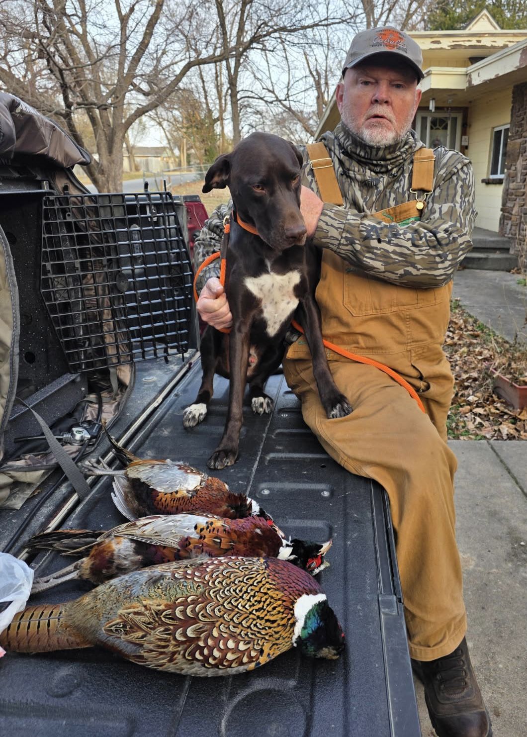 December 15, 2025 Update - Upland Bird Hunting